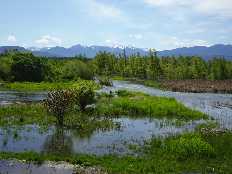 Kaleberg Symbionts Home Page